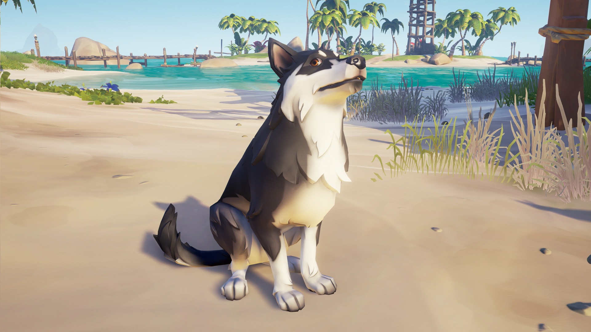 Sea of Thieves' Next Update Will Feature Dogs