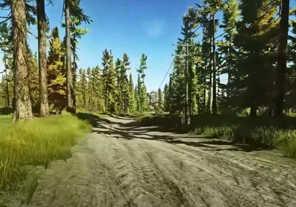 Escape From Tarkov: Guía del mapa del bosque