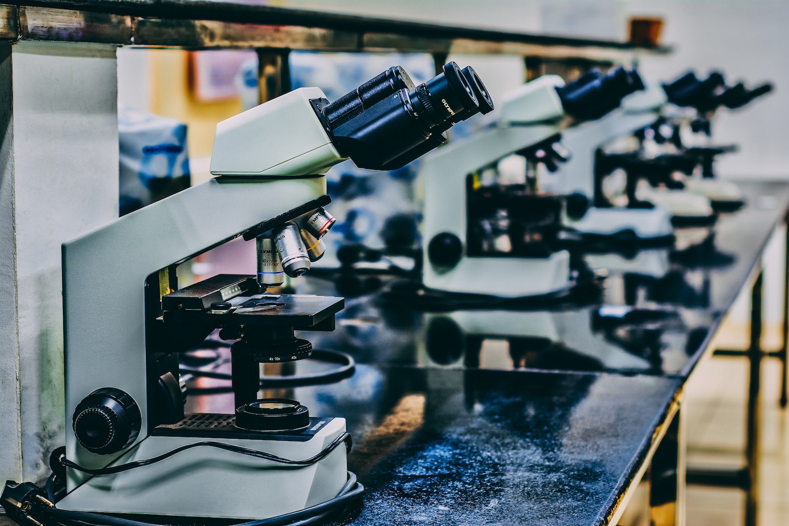 How to get your child interested in science?