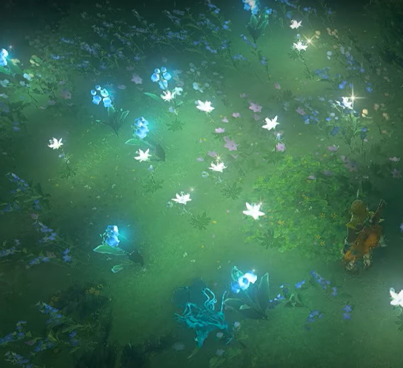 Discover The Best Places To Farm Blue Nightshade In ‘Zelda: Tears Of ...